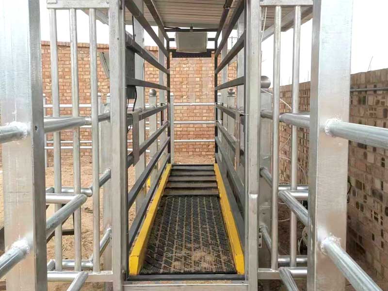EID Cattle Weigh Crate - Zhengzhou Bangmao Weighing Equipment Co., Ltd.